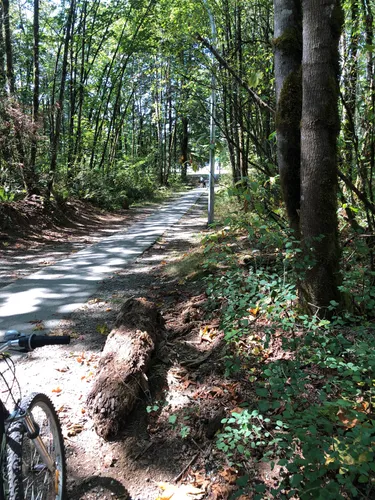 10 Best Trails and Hikes in Port Coquitlam | AllTrails