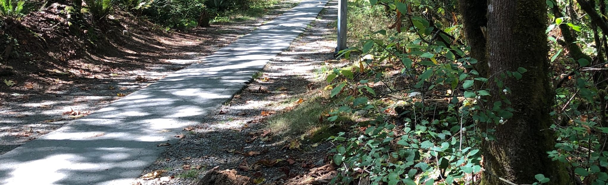 PoCo and Trans Canada Trail Loop: 237 Reviews, Map - British Columbia ...