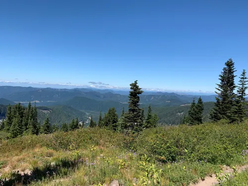 2023 Best 10 Backpacking Trails in Mount Hood National Forest | AllTrails