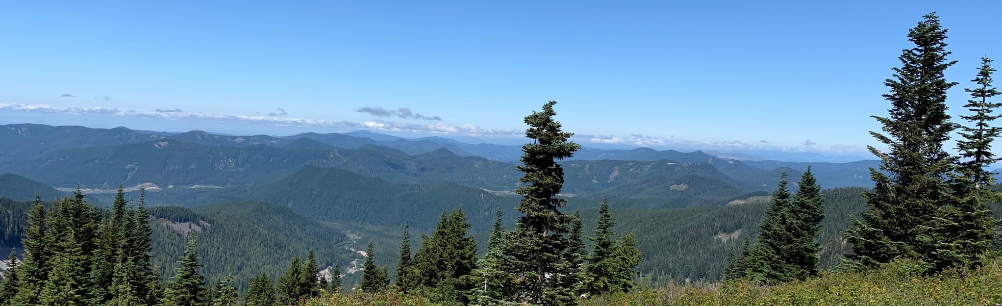 Pacific Crest Trail to Paradise Park Loop 757: 727 Reviews, 2,858 ...