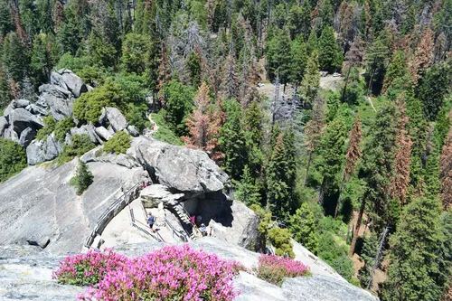 10 Best Trails and Hikes in Three Rivers | AllTrails