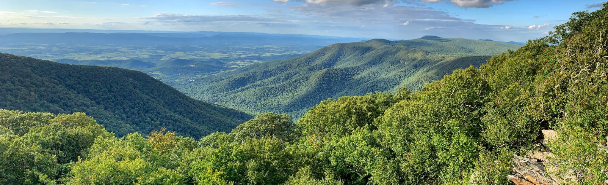 Hawksbill Loop - Virginia | AllTrails