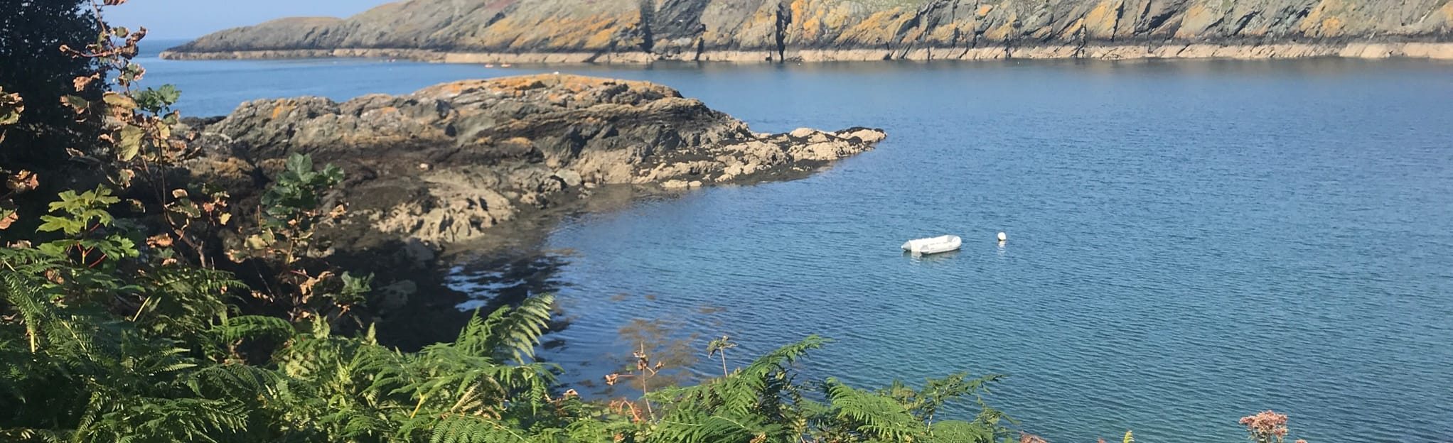 Anglesey Coastal Path: 32 Reviews, Map - Anglesey, Wales | AllTrails