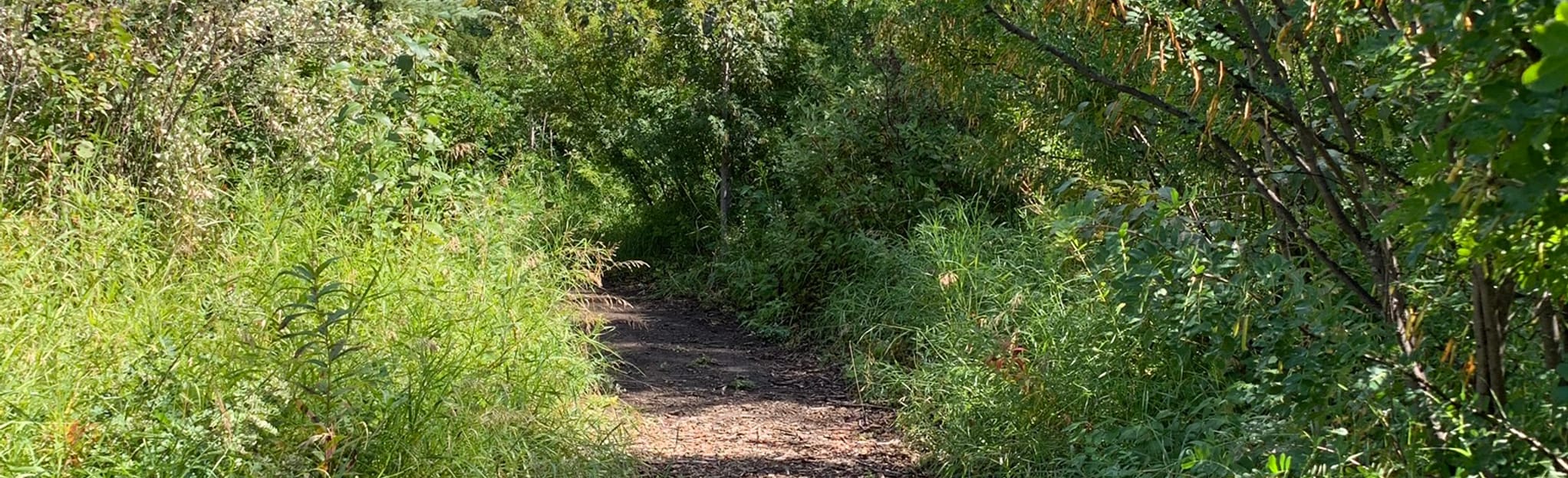 Markerville Trail, Alberta, Canada - 7 Reviews, Map | AllTrails