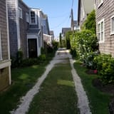 Sconset Bluff Path, Massachusetts - 224 Reviews, Map | AllTrails