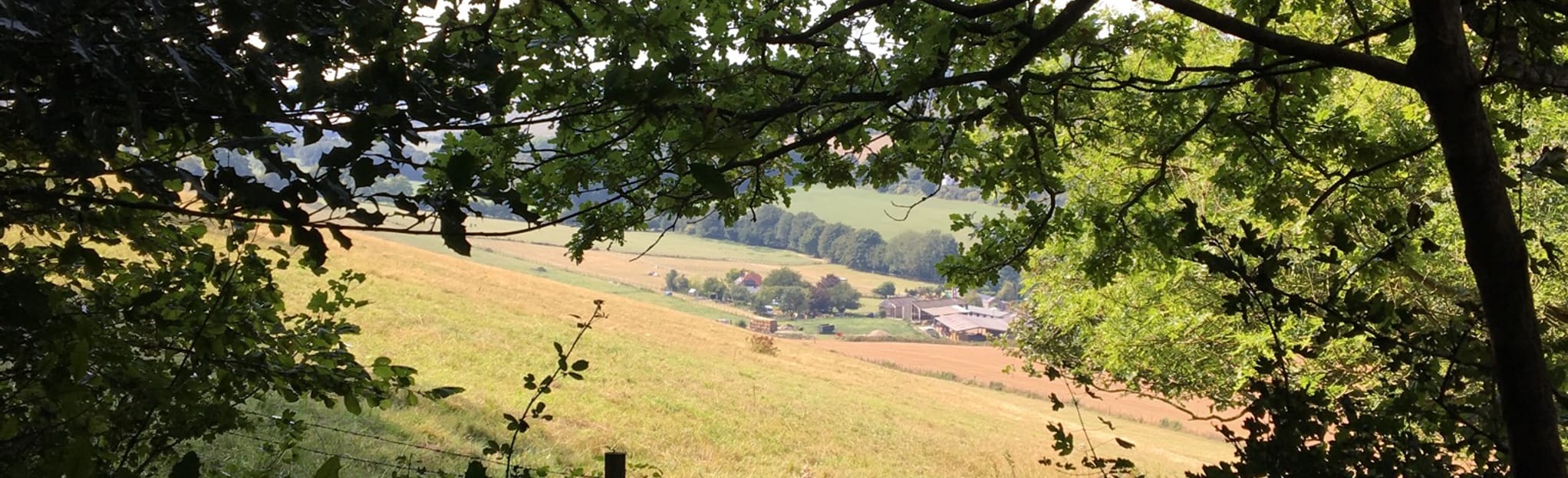 Alkham Circular Walk: 20 Reviews, Map - Kent, England | AllTrails