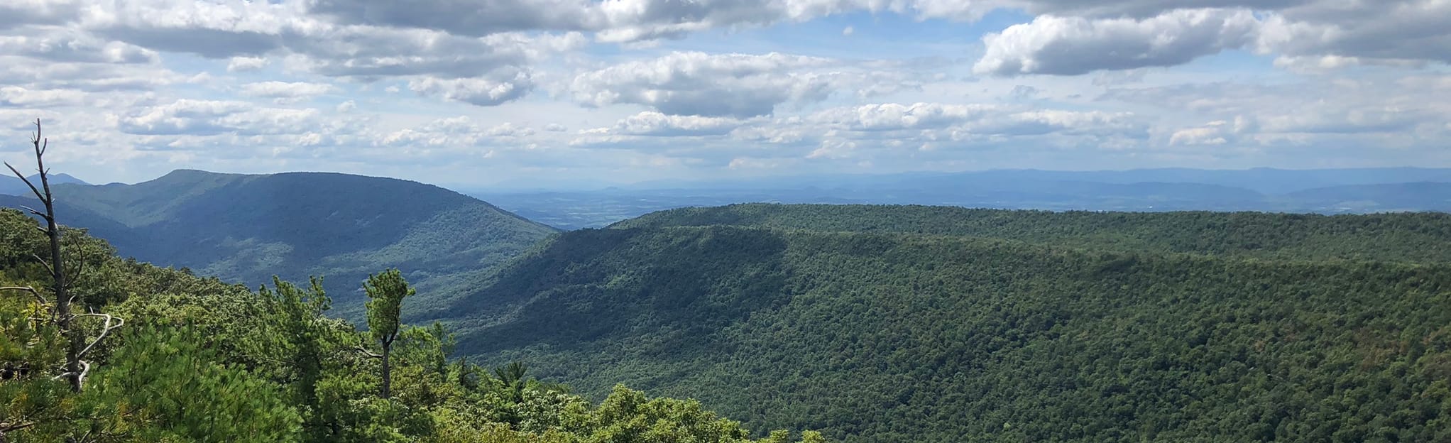 Strickler Knob Trail [CLOSED], Virginia - 478 Reviews, Map | AllTrails