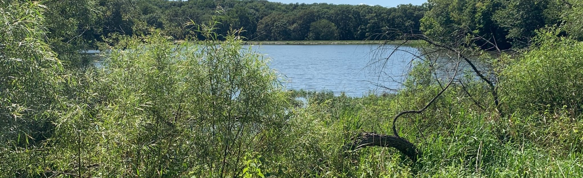 Old Quarry Trail: 62 Reviews, Map - Missouri | AllTrails