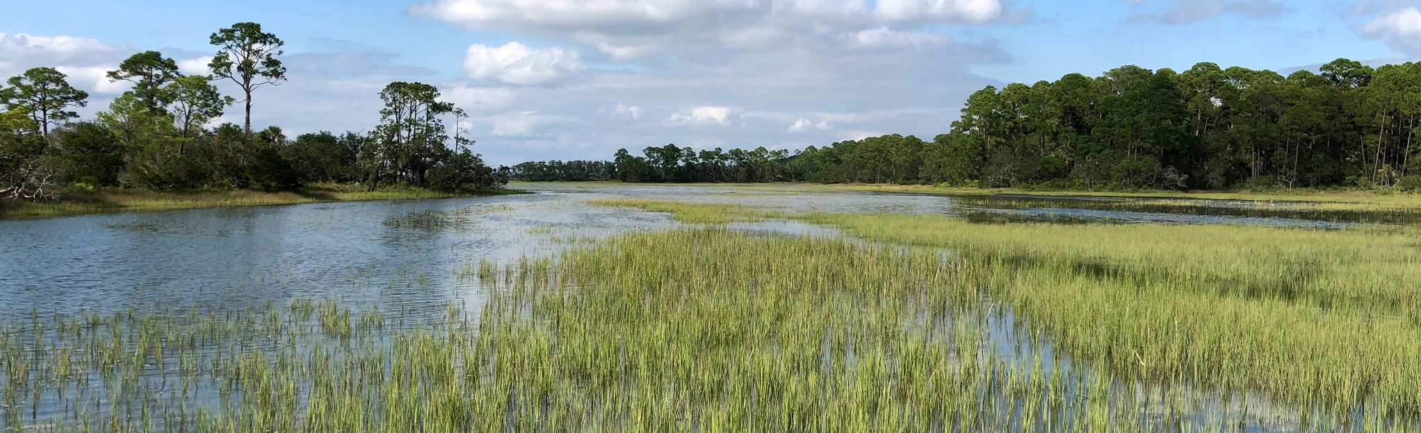 Hunting Island Marsh Boardwalk, South Carolina - 67 Reviews, Map ...