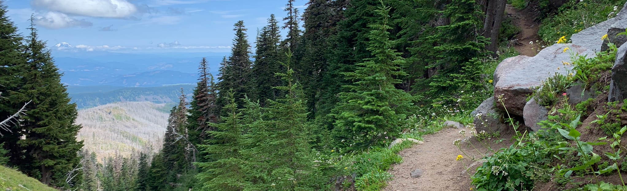 Cloud Cap to Elk Cove, Oregon - 200 Reviews, Map | AllTrails