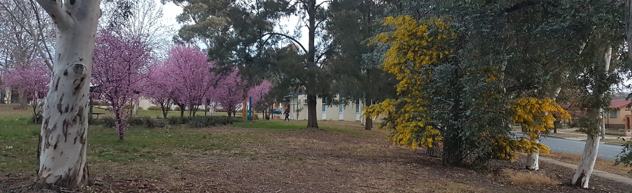 Holt Loop: 7 Reviews, Map - Australian Capital Territory, Australia ...