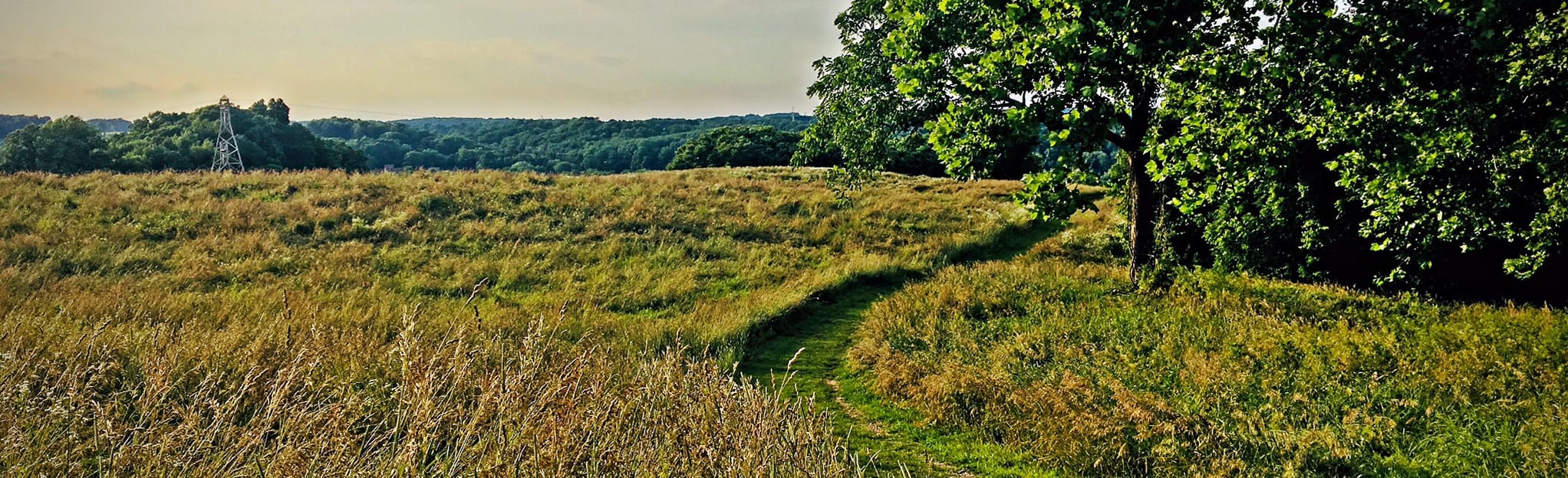 ChesLen Preserve Loop Trail: 304 Reviews, Map - Pennsylvania | AllTrails