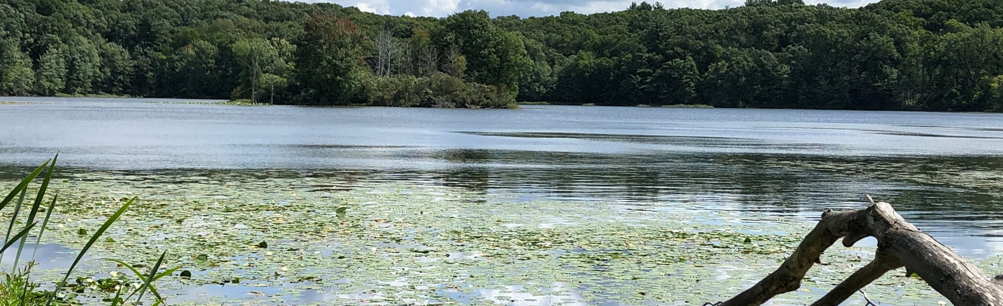 Graves Hill Overlook and Hall Lake Loop - Michigan | AllTrails