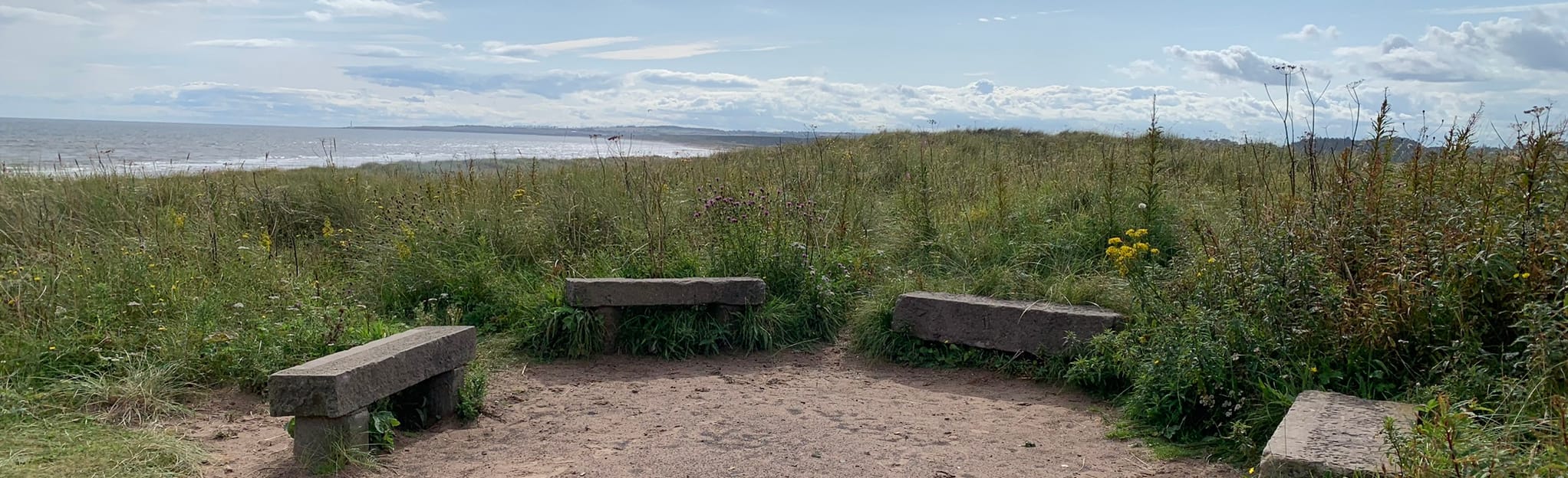 St Cyrus Beach Trail, Angus, Scotland - 9 Reviews, Map | AllTrails