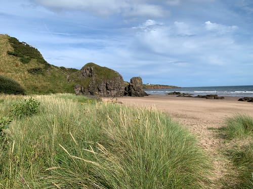 Best Hikes and Trails in Saint Cyrus National Nature Reserve | AllTrails