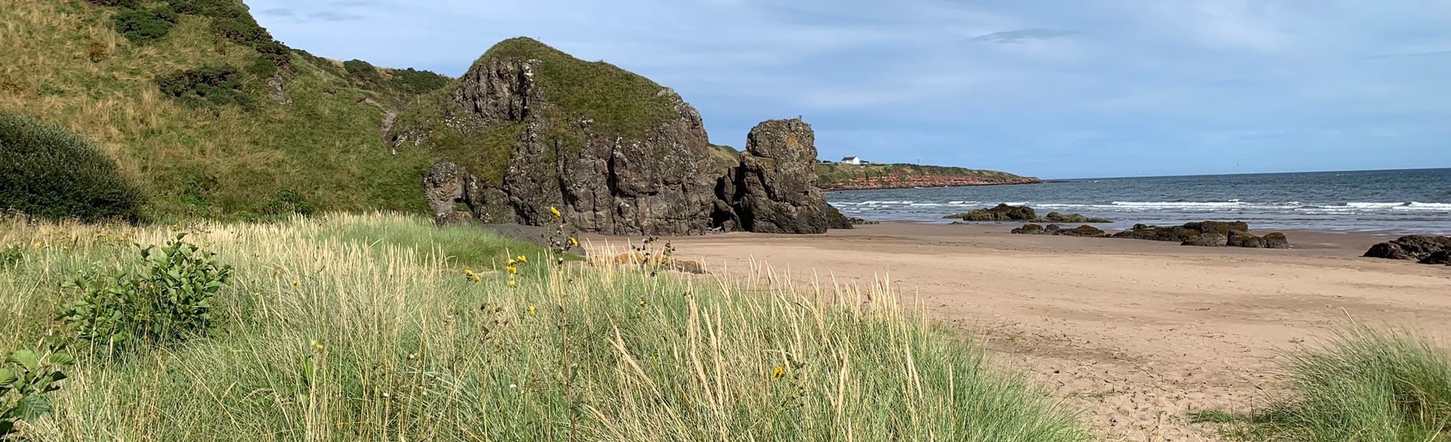 St Cyrus NNR and Tyrie Trail, Angus, Scotland - 29 Reviews, Map | AllTrails