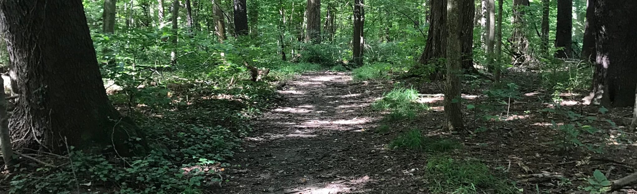 Adell Durbin Yellow Trail, Ohio - 27 Reviews, Map | AllTrails