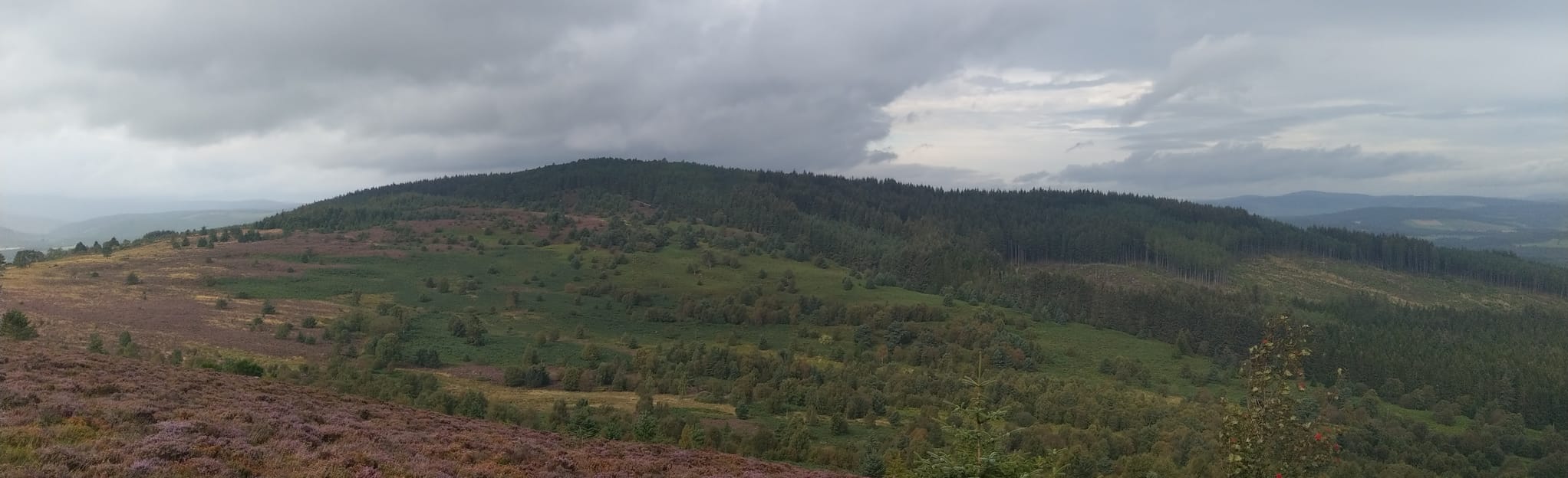 Scolty Hill Figure Eight, Aberdeenshire, Scotland - 6 Reviews, Map ...