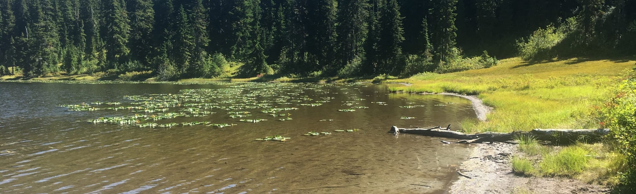 Lake Janus from Rainy Creek USFS 6700 , Washington - 72 Reviews, Map ...