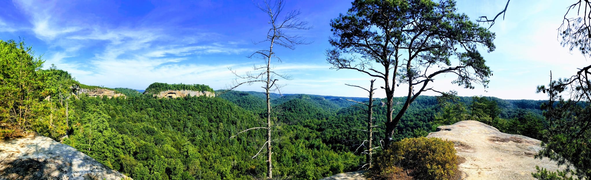 Pinch-em Tight to Hanson's Point: 1659 Reviews, Map - Kentucky | AllTrails