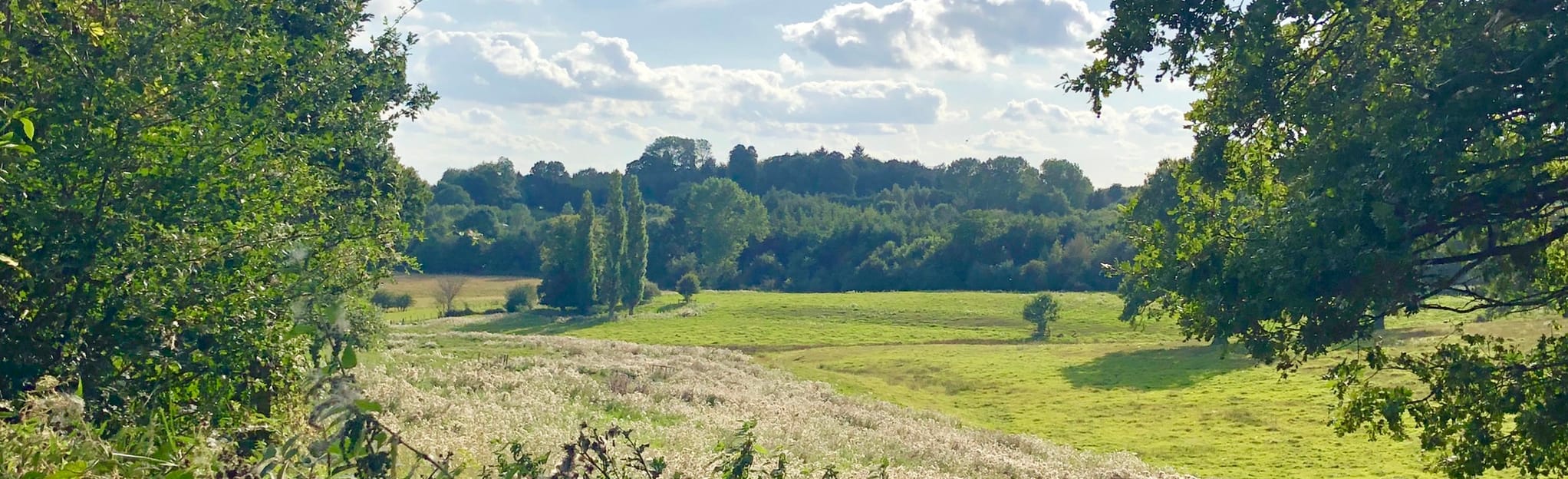 Greensand Way: Hurst Green to Betchworth, Surrey, England - 2 Reviews ...