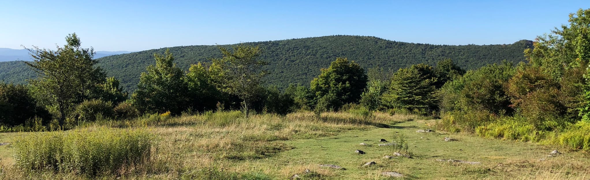 Scales Trail via Appalachian Trail, Virginia - 49 Reviews, Map | AllTrails