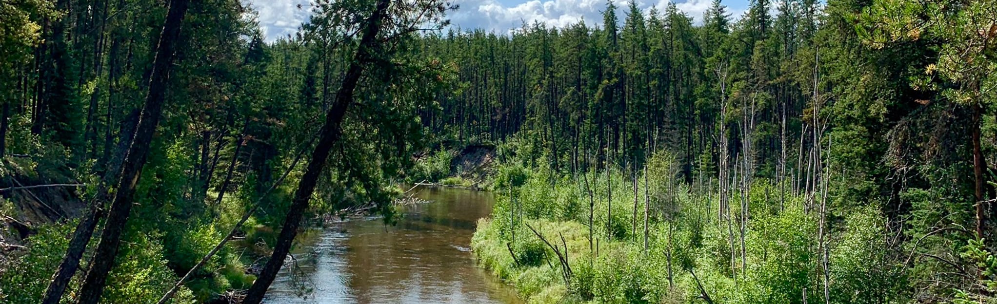 Nipekamew Sand Cliffs Trail: 18 Reviews, Map - Saskatchewan, Canada ...
