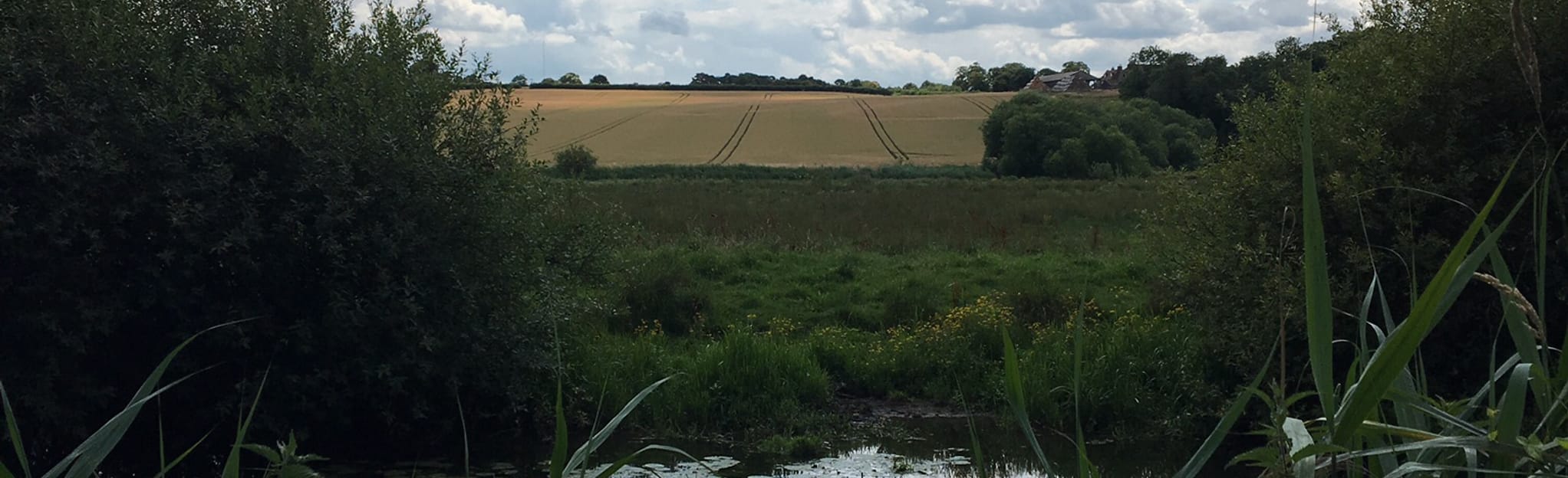 Fordwich, Westbere Lake and Canterbury Trail, Kent, England - 37 ...