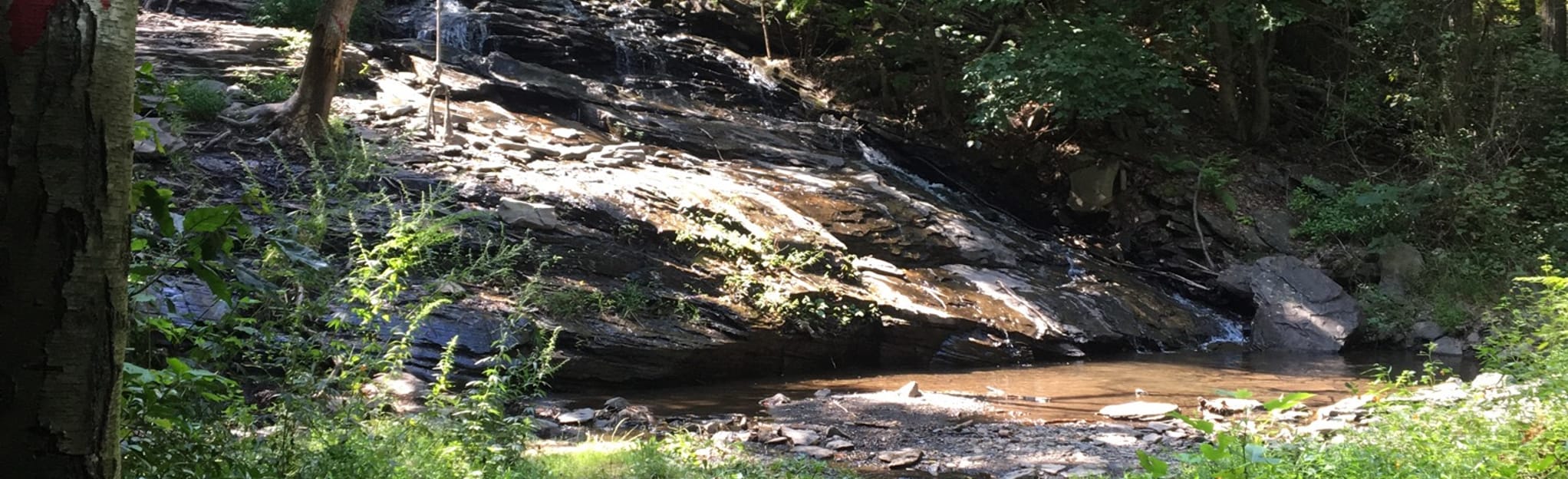 Sugar Notch Ridgetop Trail - Pennsylvania | AllTrails