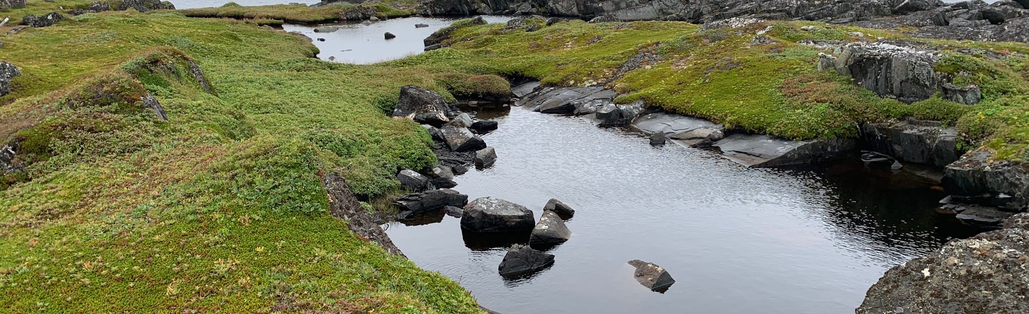 Battle Harbor Foot Path, Newfoundland and Labrador, Canada - 2 Reviews ...