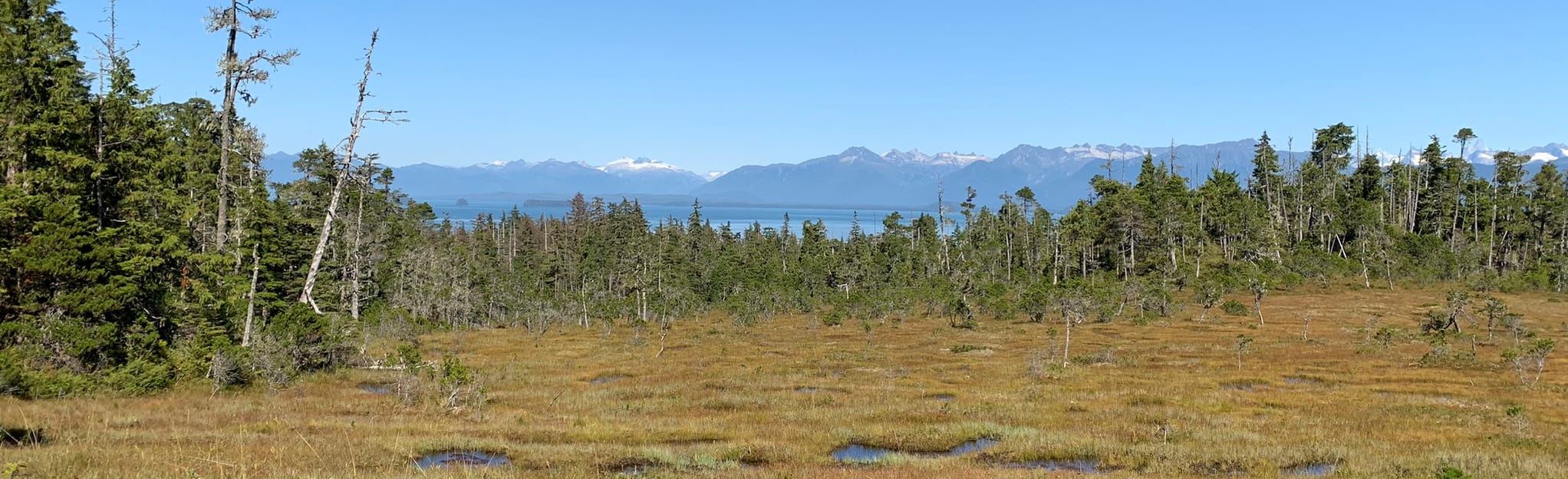 AllTrails | Raven's Roost Trail: 22 Reviews, Map - Alaska