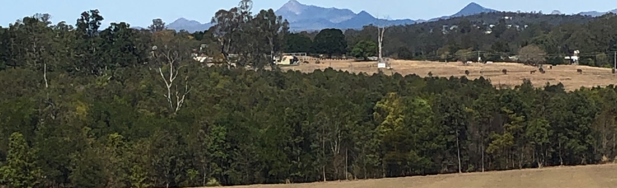 Anstead Bushland North & South Walk: 26 Reviews, Map - Queensland ...