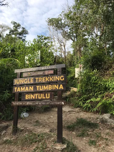 Best Beach Trails in Bintulu | AllTrails