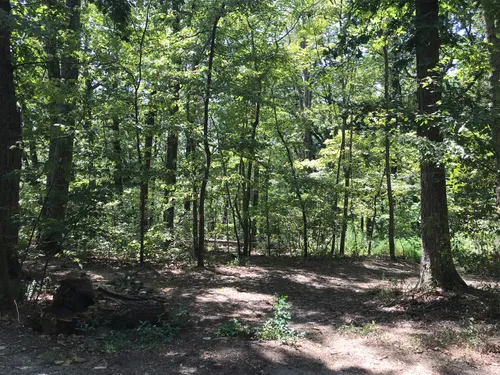 Best Hikes and Trails in Observatory Hill Trail System | AllTrails