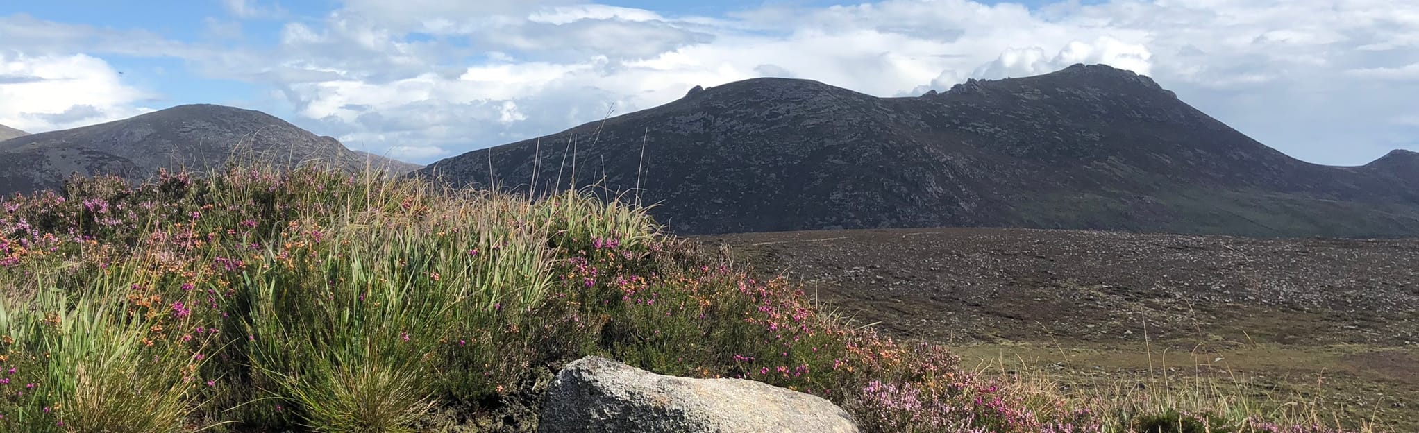Attical - Mourne Camping, Newry, Mourne and Down, Northern Ireland ...