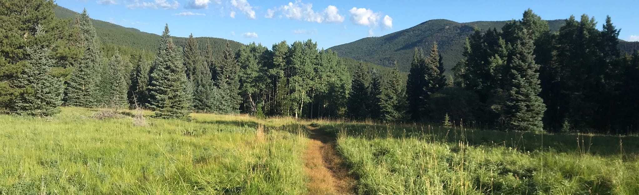 Hicks Mountain Overlook Trail : 233 Reviews, Map - Colorado | AllTrails