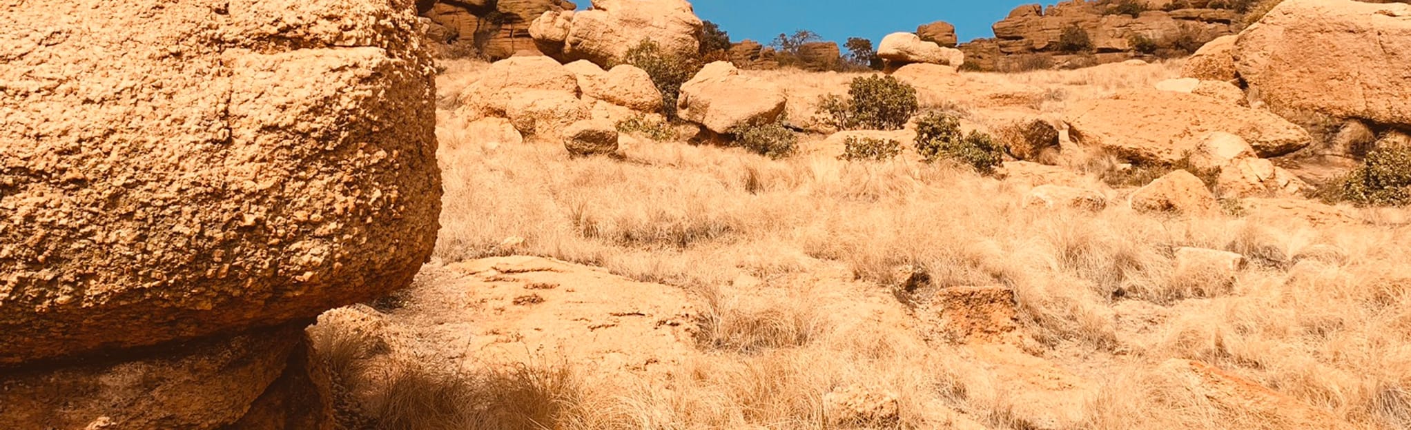 Bergheim Trail: 39 Reviews, Map - North West, South Africa | AllTrails