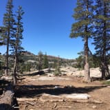 Grouse Ridge Trail, California - 54 Reviews, Map | AllTrails