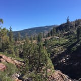 Grouse Ridge Trail, California - 54 Reviews, Map | AllTrails