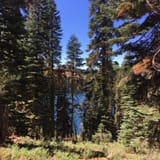 Grouse Ridge Trail, California - 54 Reviews, Map | AllTrails