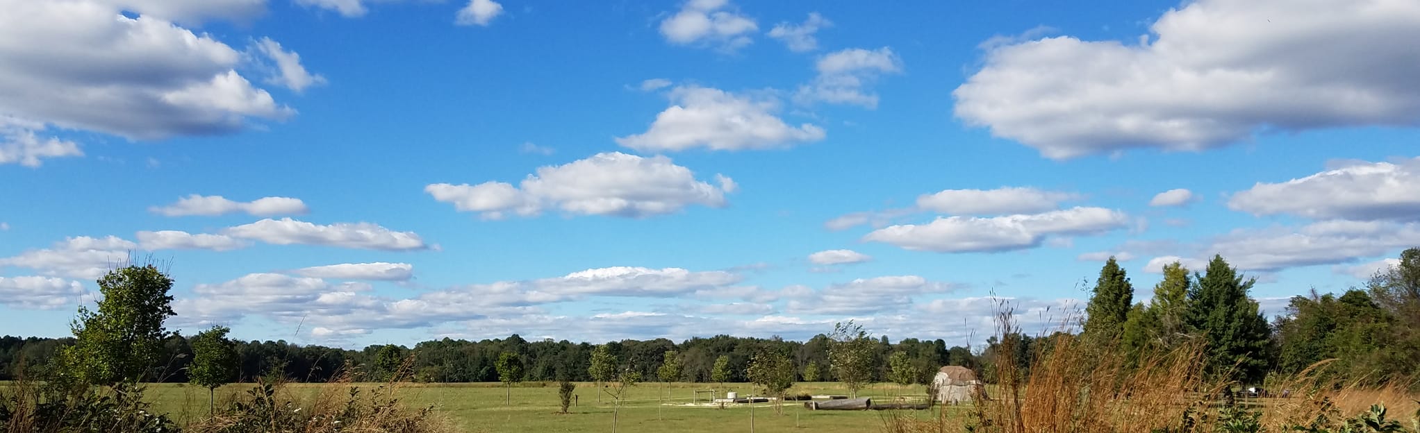 Columbia Air Center Loop Hike through Patuxent River Park, Maryland ...