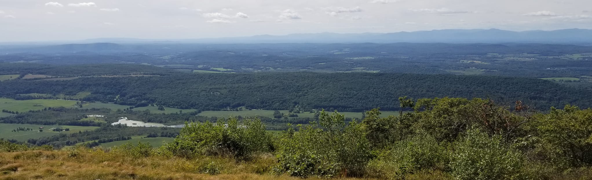 Alander Mountain and Brace Mountain Loop: 193 Reviews, Map ...