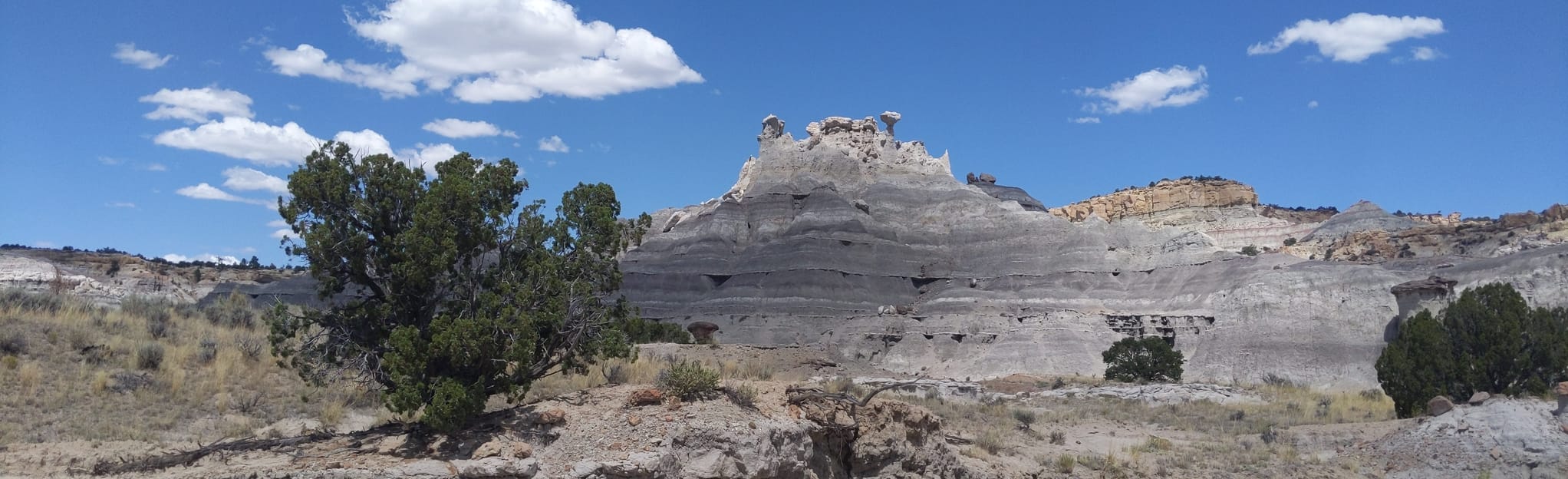 Lybrook Badlands: 15 Reviews, Map - New Mexico | AllTrails