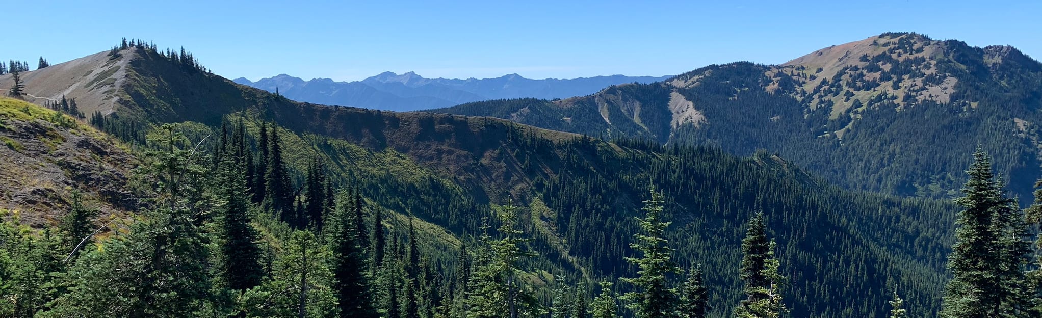 Klahhane Ridge Trail to Lake Angeles, Washington - 267 Reviews, Map ...