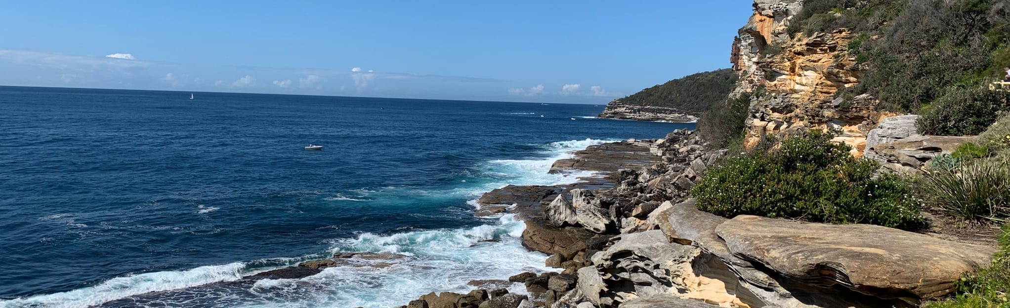 Blue Fish Track: 90 Reviews, Map - New South Wales, Australia | AllTrails