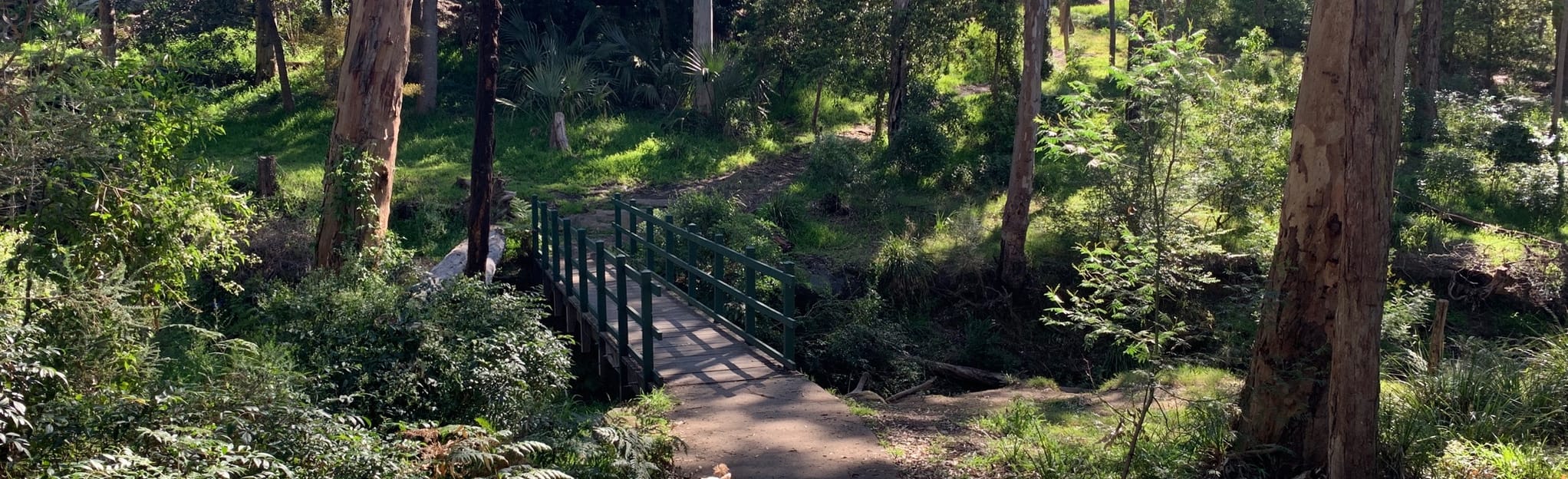 Geebung Walk : 94 Reviews, Map - New South Wales, Australia | AllTrails