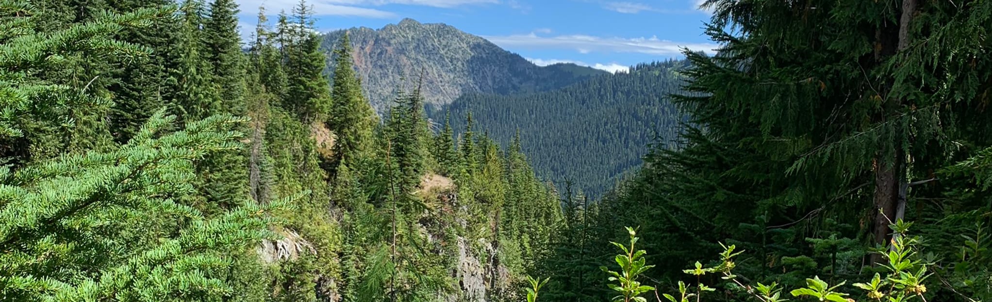 Goat Island Mountain: 1 Reviews, 609 Photos, Map - Washington | AllTrails