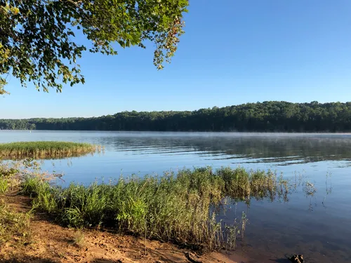10 Best Hikes and Trails in Latta Nature Preserve | AllTrails