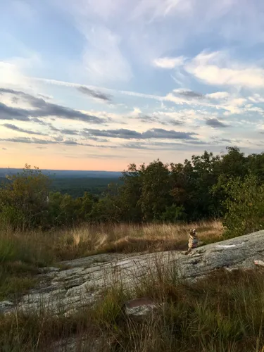 10 Best Hikes and Trails in Stokes State Forest | AllTrails