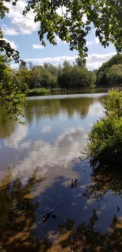 Best Hikes and Trails in Stanborough Park | AllTrails